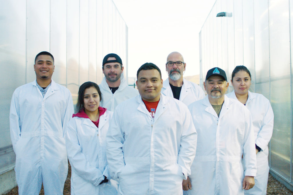 Best California Cannabis | Cannabis Growers | Loudpack Farms